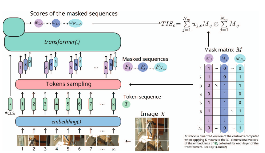 Explaining through Transformer Input Sampling | Geraldin Nanfack